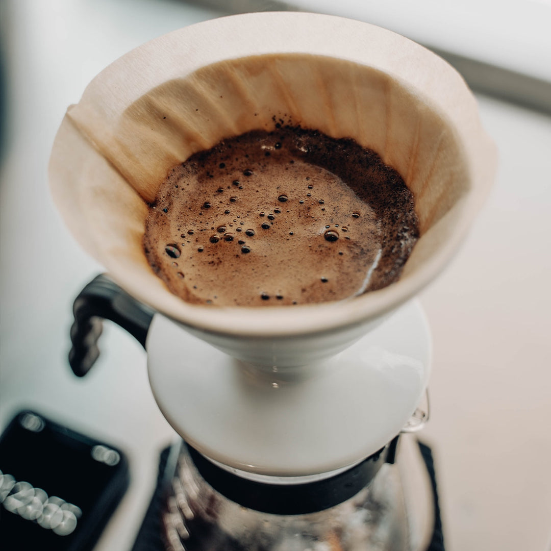 Hario V60 Brew Guide Ft. Six Impossible Things