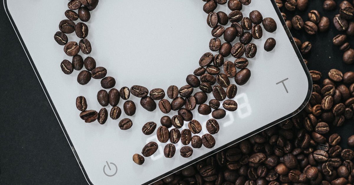 Acaia Coffee Scales - Alternative Brewing