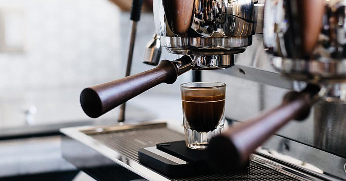 Barista Basics - Alternative Brewing