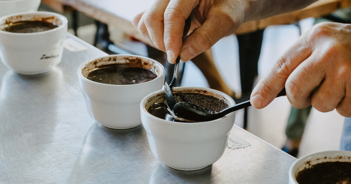 Coffee Tools - Alternative Brewing